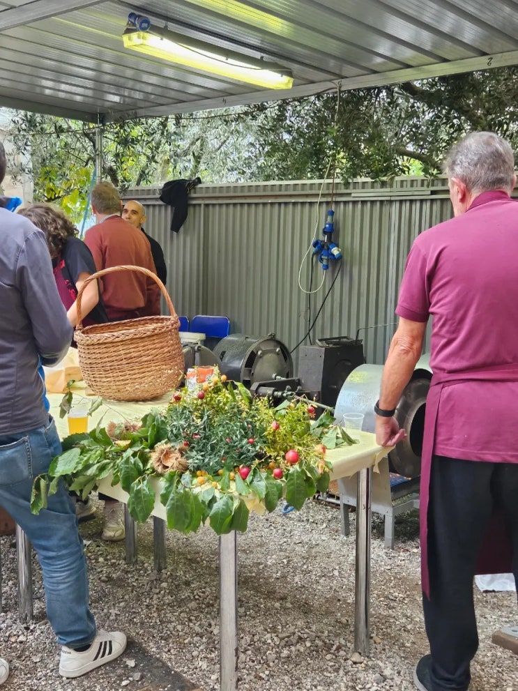 [모글즈 13기] 이탈리아 친구들과 여가 생활 100% 즐기기 | 이탈리아 밤 축제 : 네이버 블로그