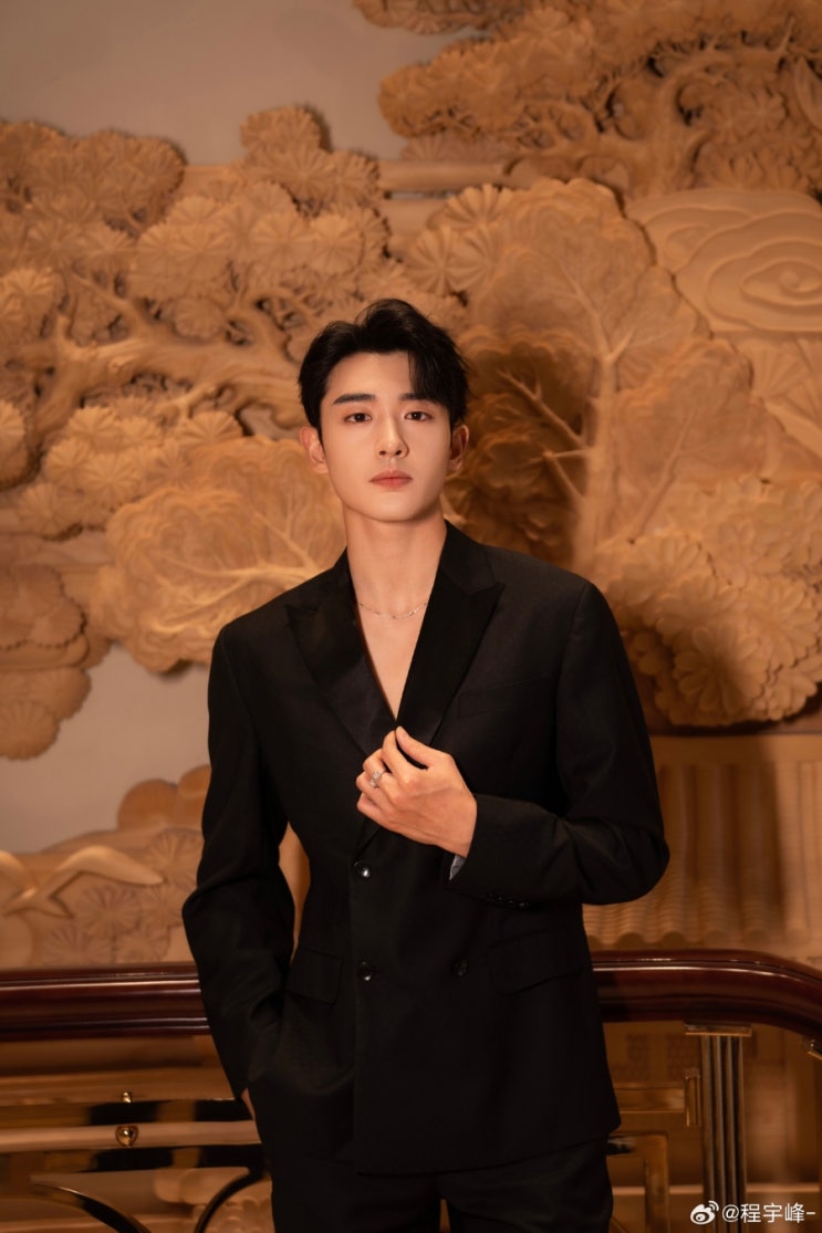 [중국배우]정우봉 프로필 웨이보(程宇峰 Cheng yu feng 청위펑) 사시호 : 네이버 블로그
