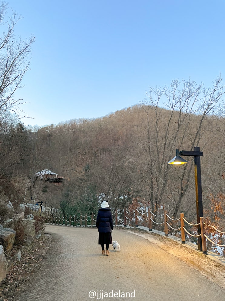 힐리언스선마을 반려견동반 강원도 홍천 여행 애견동반숙소 네이버 블로그