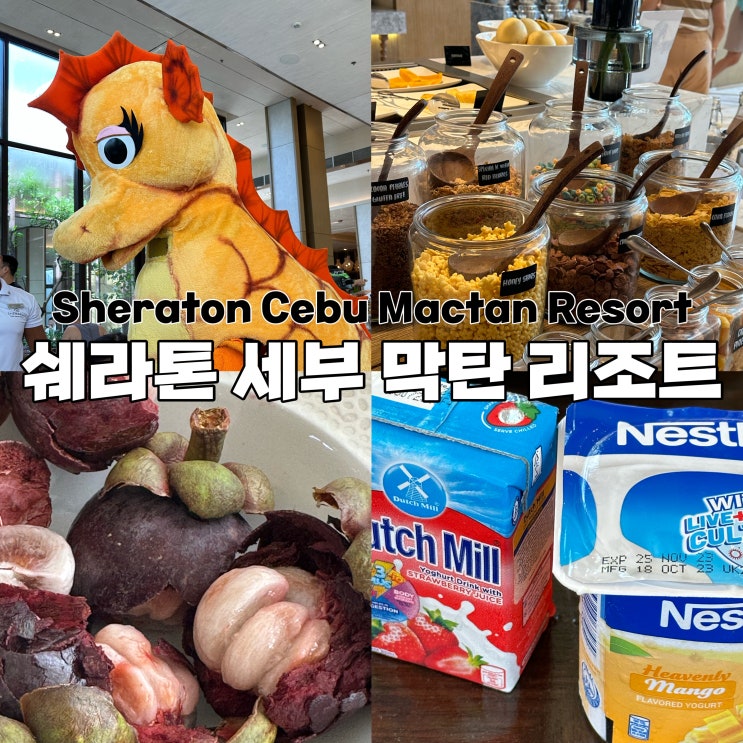 [해외여행/숙소추천] 쉐라톤 세부 막탄 리조트 Sheraton Cebu Mactan Resort 조식은 필수입니다 : 네이버 블로그