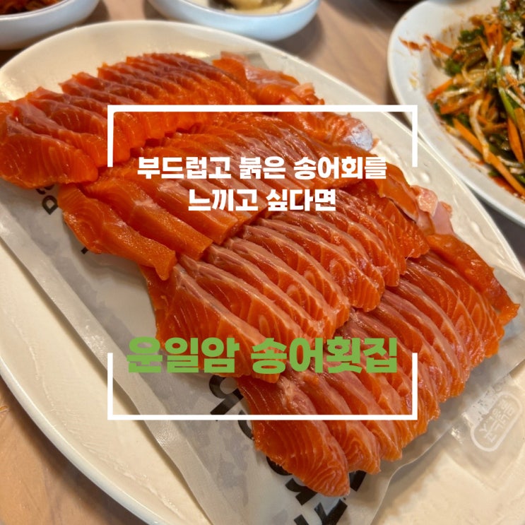 [진안 맛집] 전라북도 진안군 맛집, 운일암 송어횟집 : 네이버 블로그