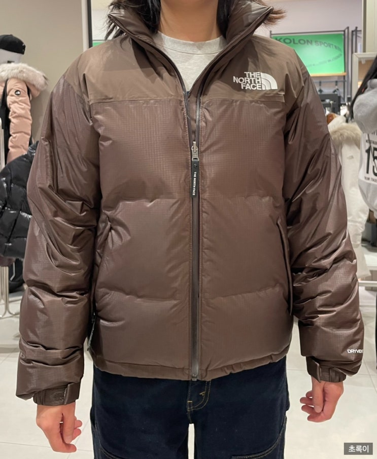 노스페이스 숏패딩 눕시 신상 워터실드 남자 겨울자켓 커플 구스다운 가격 여자 코디 사이즈 네이버 블로그
