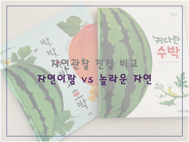 자연관찰 전집 추천 아람 자연이랑 Vs 그레이트 북스 놀라운 자연 비교 네이버 블로그