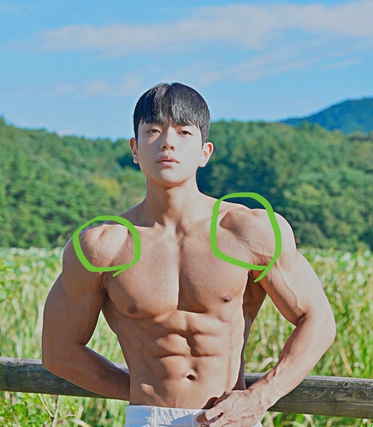 신흥동 헬스장 메타짐 Pt 코코넛 어깨 만들기 ‘프론트 레이즈 네이버 블로그