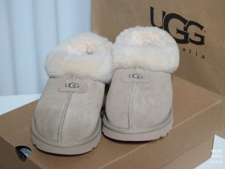 어그 Ugg 퍼 카라 스웨이드 슬립온 슈즈 타제트 실착용 후기 네이버 블로그