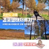 강릉여행 경포생태저류지 주차 버스 정보 현황 네이버 블로그