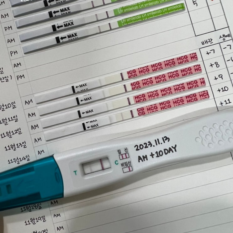 임신기록 배란1일차~배란10일차 배란7일차 임테기두줄 네이버 블로그