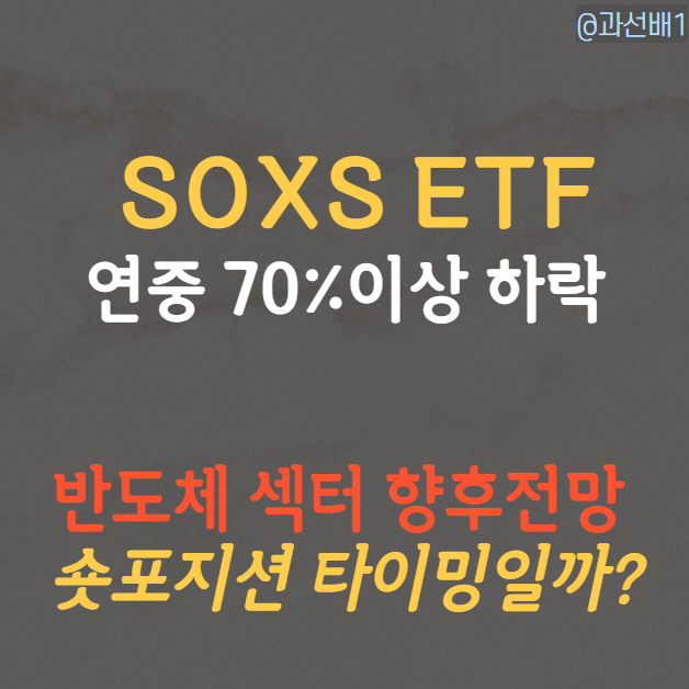 SOXS ETF 주가 전망과 배당 정보 1분만에 정리(ft. SOXL 비교) : 네이버 블로그