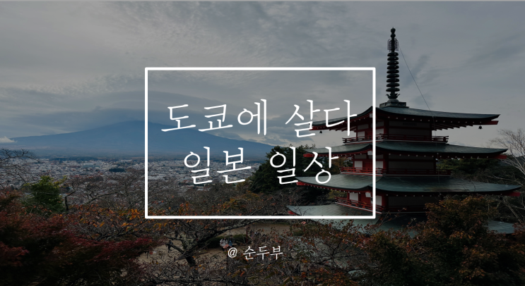 일본 도쿄 일상생활 도쿄 근교 드라이브 여행 아라쿠라야마 센겐 공원 야마나시 나루사와 미치노에키 후지산 호우토우