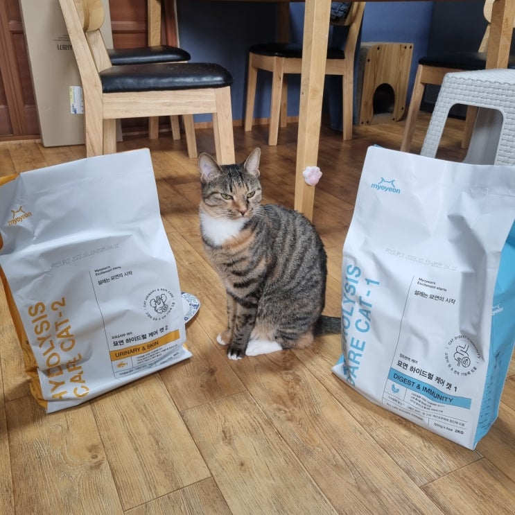 고양이 알러지 사료 묘연 하이드럴 케어 캣 장건강 그레인프리 가수분해 사료 : 네이버 블로그