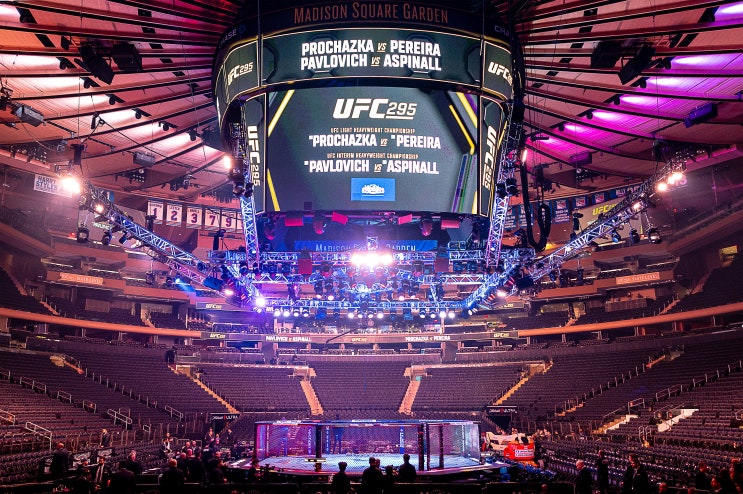 UFC 295 이모저모: 프로하스카 VS 페레이라 : 네이버 블로그