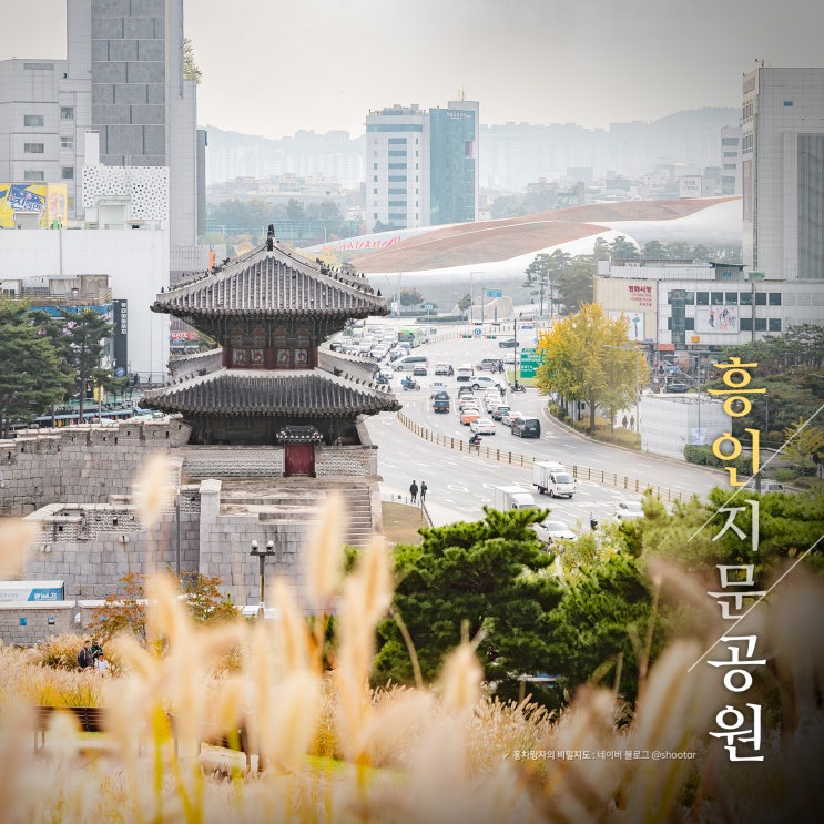 서울 동대문 가볼 만한 곳 흥인지문공원 성곽길 가을 산책 한양도성 순성길 네이버 블로그