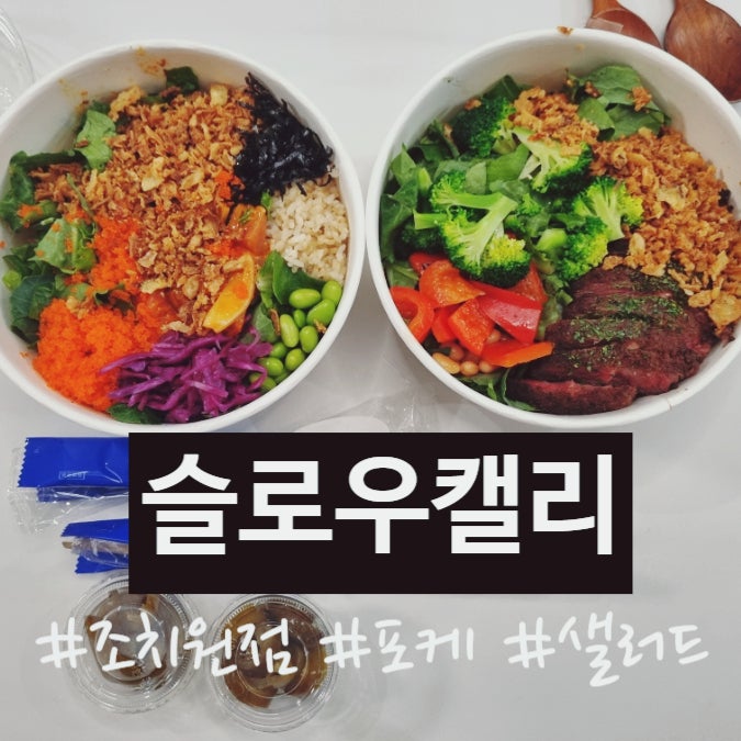 세종 포케와 샐러드 다이어트식사 한끼 슬로우 캘리 조치원점 내돈내산후기 네이버 블로그