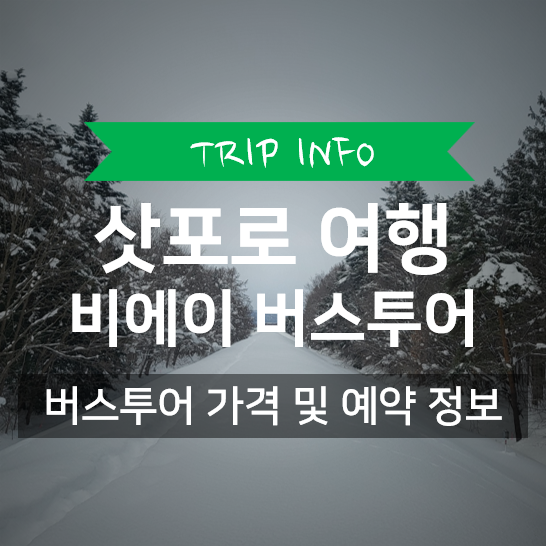 삿포로 비에이 겨울 버스투어 추천 프리비아 인생샷 버스투어 🚌 네이버 블로그