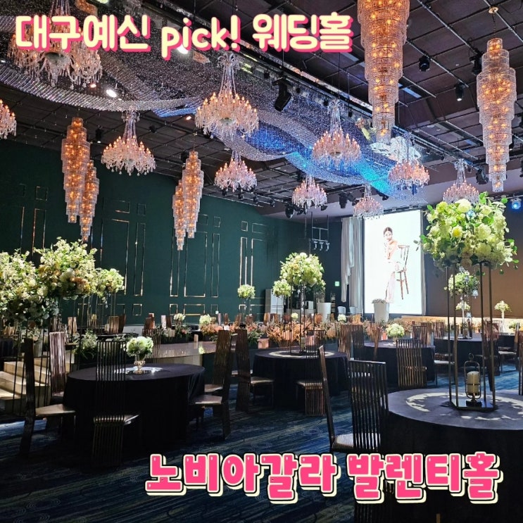 대구예비신부 웨딩스토리2 동구 웨딩홀 투어 노비아갈라호텔vs퀸벨호텔vs엠스타하우스vs칼라디움 네이버 블로그