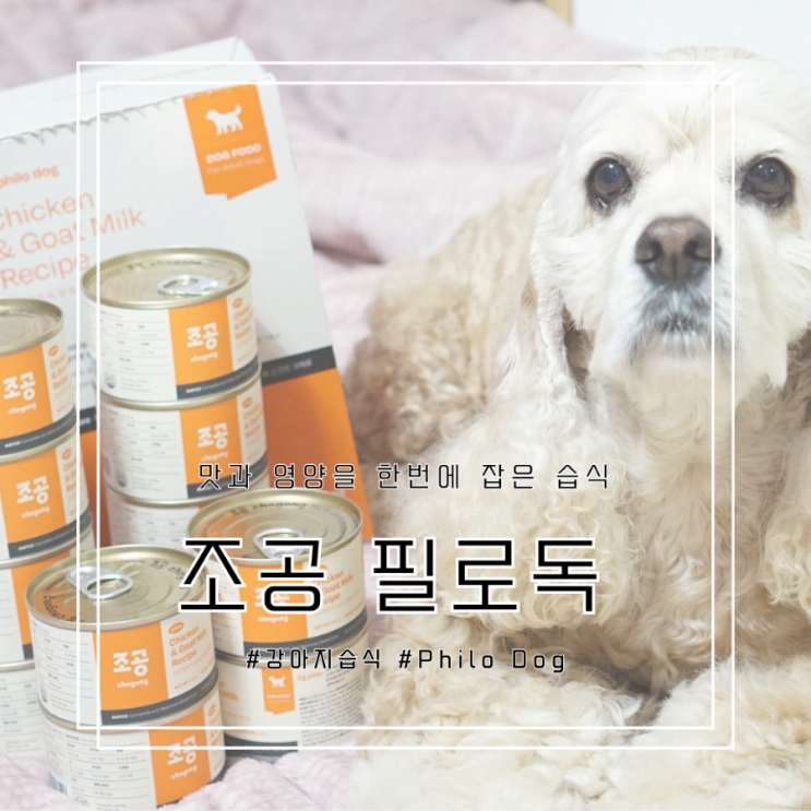 맛과 영양을 한번에!? 기호성 좋은 중지방 강아지습식사료 :: 조공 필로독 (PhiloDog) : 네이버 블로그