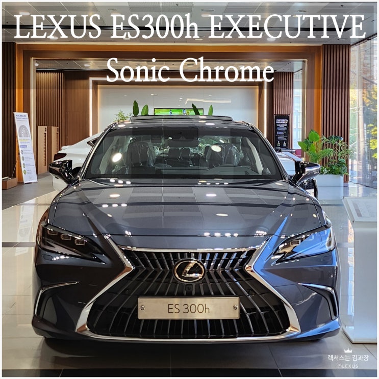 렉서스 ES300h 이그제큐티브 소닉크롬 │ Lexus ES300h Executive SONIC CHROME[옵션 / 가격 ...