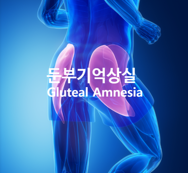 정자역 필라테스 잃어버린 내 엉덩이의 힘을 찾아서 네이버 블로그