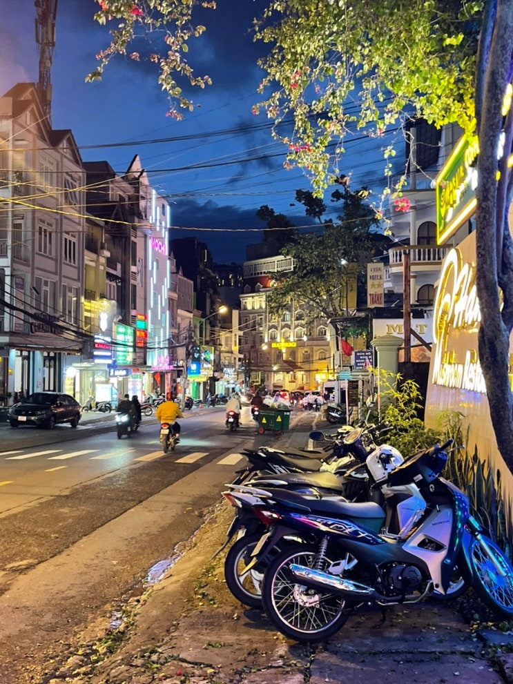 나트랑 달랏 패키지 3일차 달랏역 린푸억사원 랑비엔 다딴라폭포 크레이지하우스 선택관광 네이버 블로그