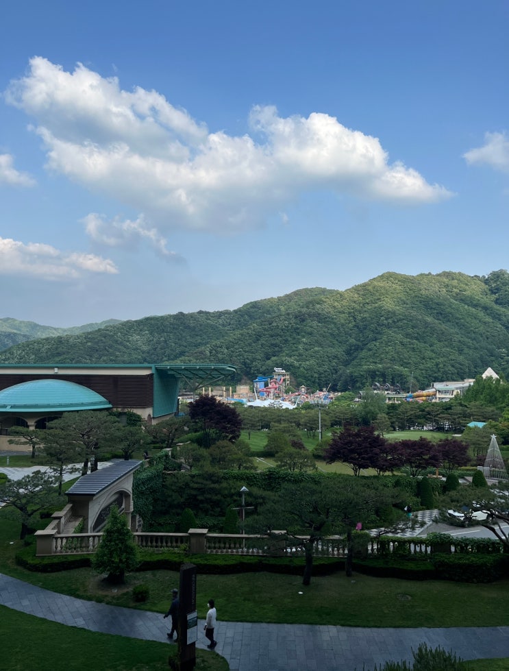홍천 소노펠리체 비발디파크 아기랑 다녀온 후기 골드 스위트 취사룸 네이버 블로그