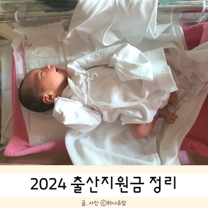 출산지원금 부모급여 아동 양육 육아수당 종류 어린이집 차액 정리 네이버 블로그