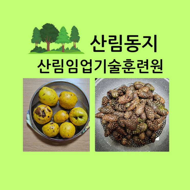 산림임업기술훈련원 동지들과 닭백숙 잔치했어요. : 네이버 블로그
