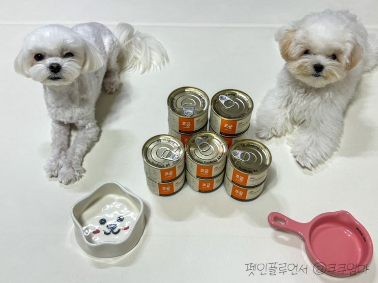 강아지 습식사료 조공 Philo Dog 칠면조 레시피 기호성 좋은사료 : 네이버 블로그