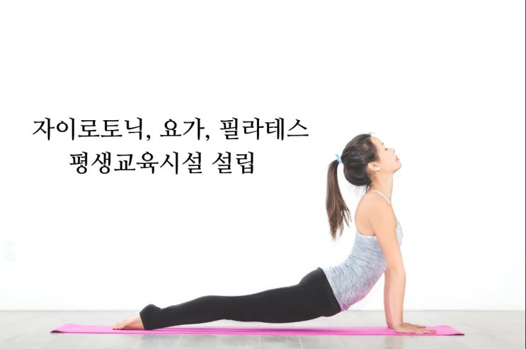 운동시설 자이로토닉 요가 필라테스 평생교육원 설립 요건 절차 네이버 블로그