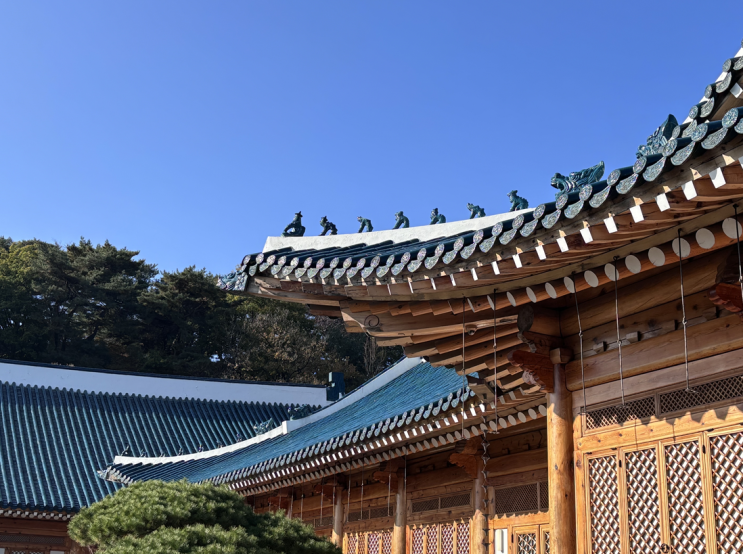 청와대 개방 예약 주차장 팁경복궁 공영 등 입구 방문 및 관람후기 네이버 블로그