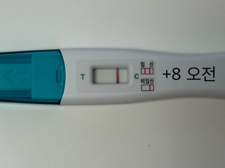 임신 시도 다섯 번째 이른 배란 그리고 초매직 두 줄 : 네이버 블로그