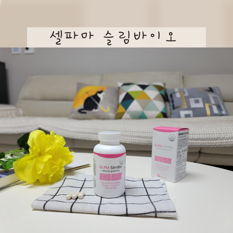칼로리 컷팅제 셀파마 슬림바이오 챙기며 운동 식단 체지방 줄이기 도움받죠 네이버 블로그