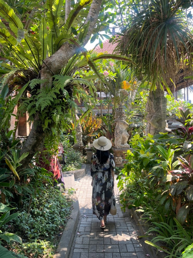 엄마와 발리여행 1 / 웨스틴 우붓 발리, 프라이빗 택시 투어, 발리 왕궁, 몽키 포레스트, 헤븐리 스파, 피숀 우붓 외 ...