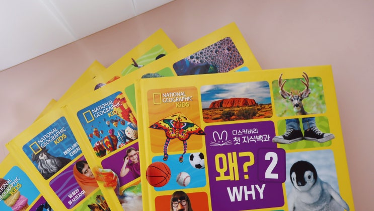 블루래빗 키즈 디스커버리 첫 지식백과 7세 어린이과학도서 통합지식백과 네이버 블로그