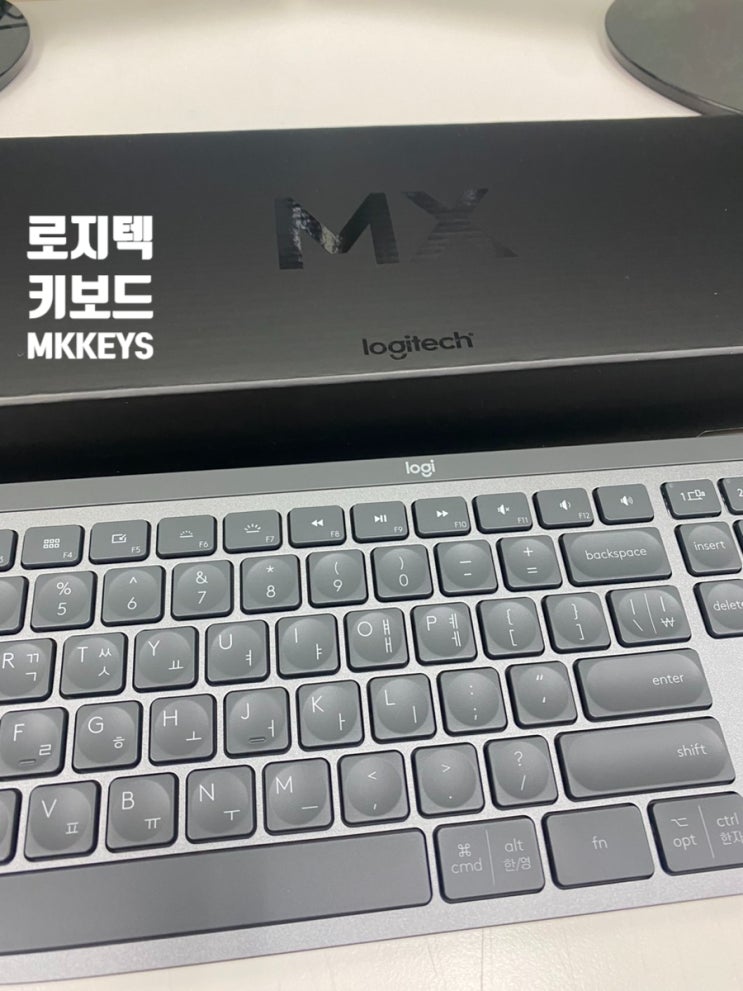 로지텍키보드 MK KEYS 키감 가격대비 사용 후기 : 네이버 블로그