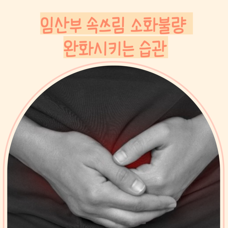 임신중기 임산부 속쓰림 알마겔 소화불량 명치통증 역류성식도염 도움됐던것 네이버 블로그
