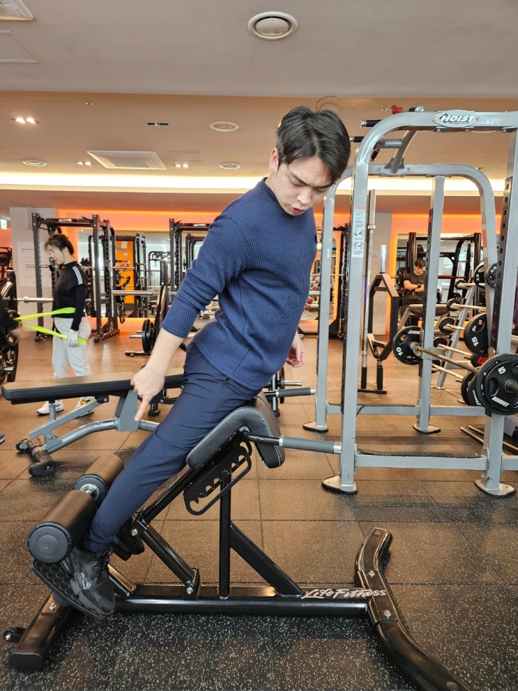망원헬스장 스포짐서교점에서 로만 체어에 대해서 배워보아요 네이버 블로그