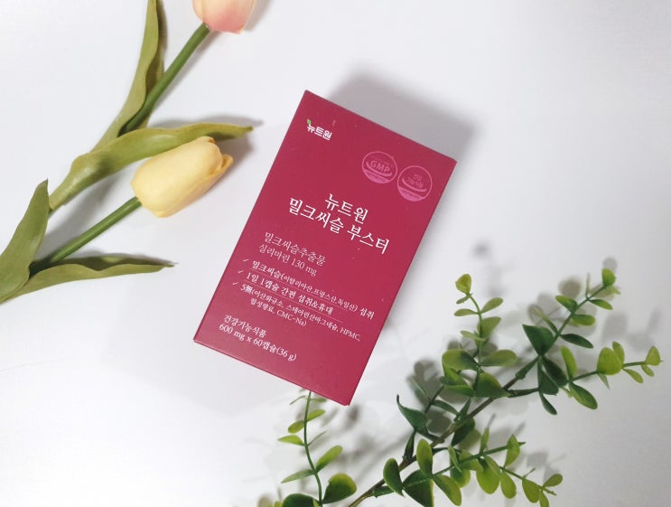 간에 좋은 영양제 밀크씨슬 효능 및 효과 복용시간 밀크시슬 영양제 추천 Alt Ast 수치 관리 네이버 블로그