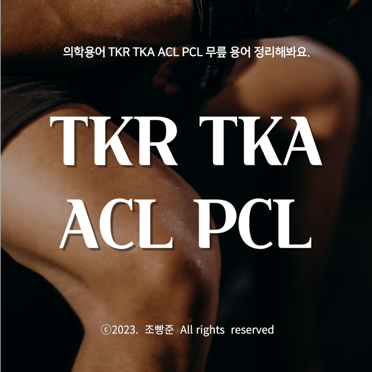 의학용어 TKR TKA ACL PCL 무릎 용어 정리해봐요. : 네이버 블로그