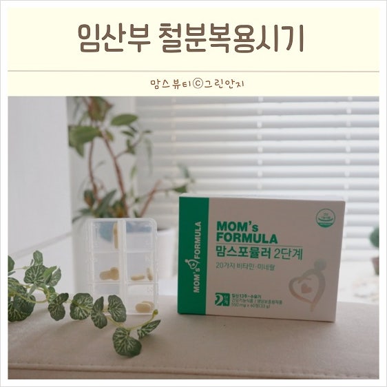 임산부 철분제 복용시기 철분부족증상 용량 임신준비 영양제 후기 네이버 블로그