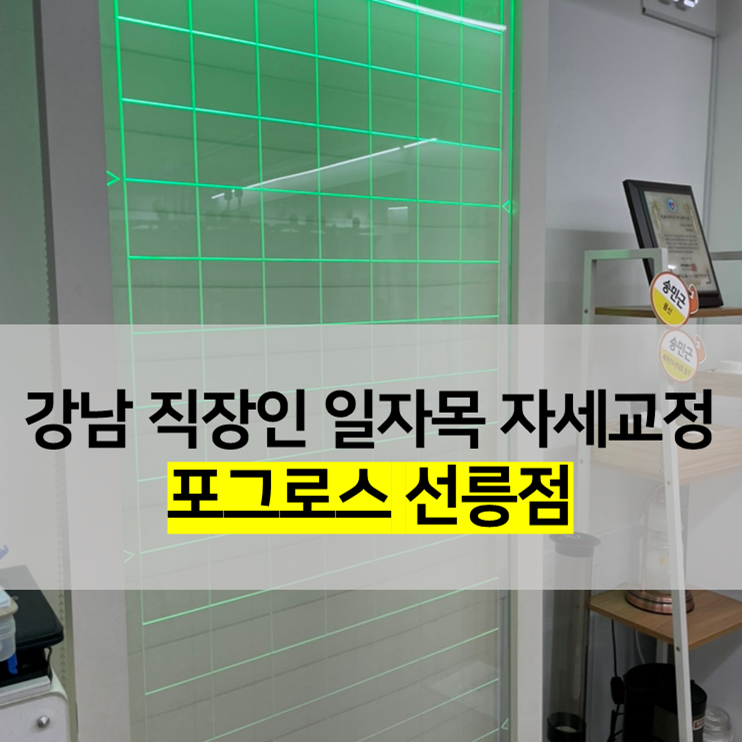 직장인 재활운동 강남 포그로스 선릉역 일자목 자세 교정 후기 네이버 블로그