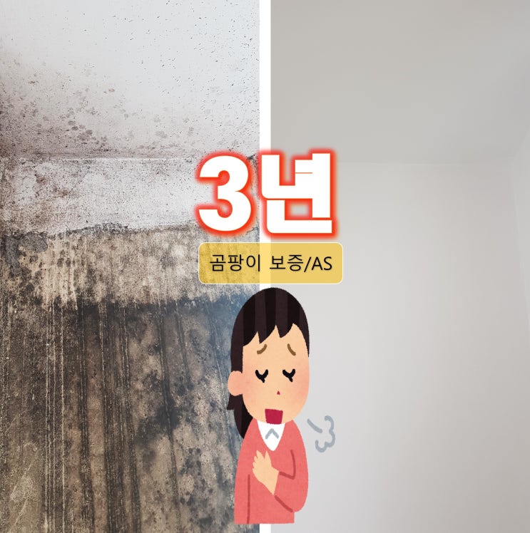 전월세 아파트 베란다 곰팡이 제거 곰팡이 방지 시공 세입자가 해결해야 할까경기도 안양 평촌 아파트 베란다 곰팡이 방지 에어로