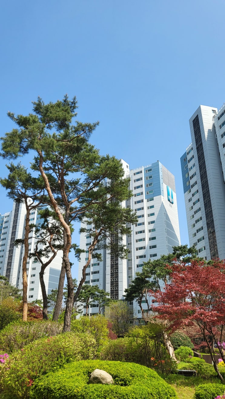 추천 과천 래미안슈르 33평 매매 과천아파트 재건축주공 급매 오피스텔 전월세매매 과천부동산시세 추천 급전세 상가 사무실