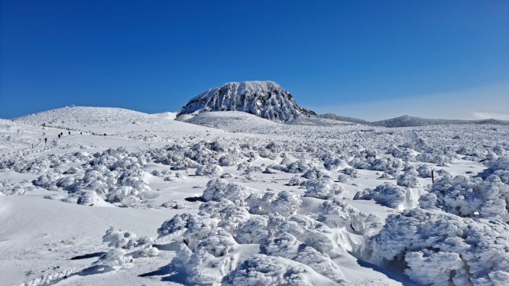 오직 나만을 위해 있어주오 (Solo hay una para mi) 세미노 로시 (Semino Rossi) : 네이버 블로그