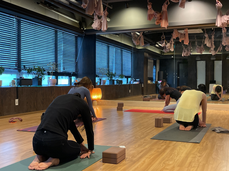 범계요가 아델요가스튜디오 따듯한 차 한잔과 함께 수련하기 좋은 곳 빈야사 얼라인먼트 네이버 블로그
