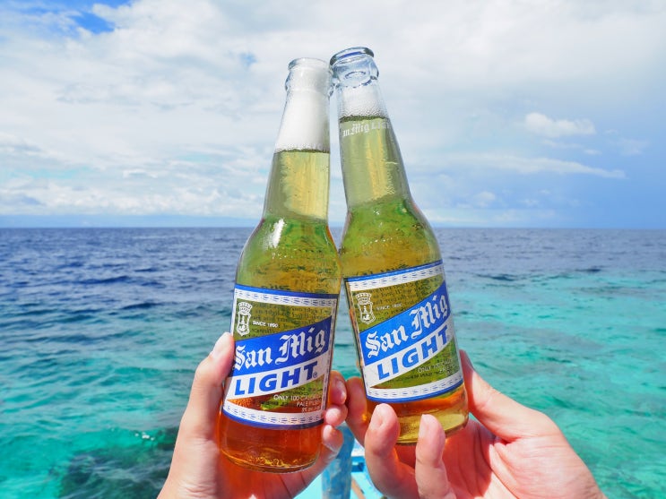 보홀 자유여행 패키지 3박5일 알찬일정 : 네이버 블로그