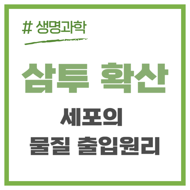 확산과 삼투 세포막을 통해 물질이 출입하는 원리 네이버 블로그