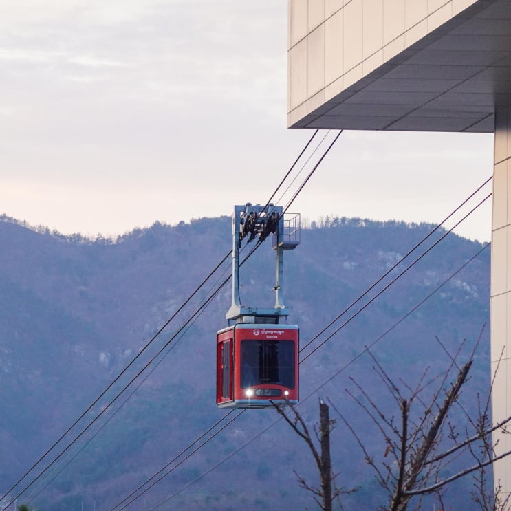 강원도 삼척 해상케이블카 장호항 한가지 단점은 예약 가격 네이버 블로그