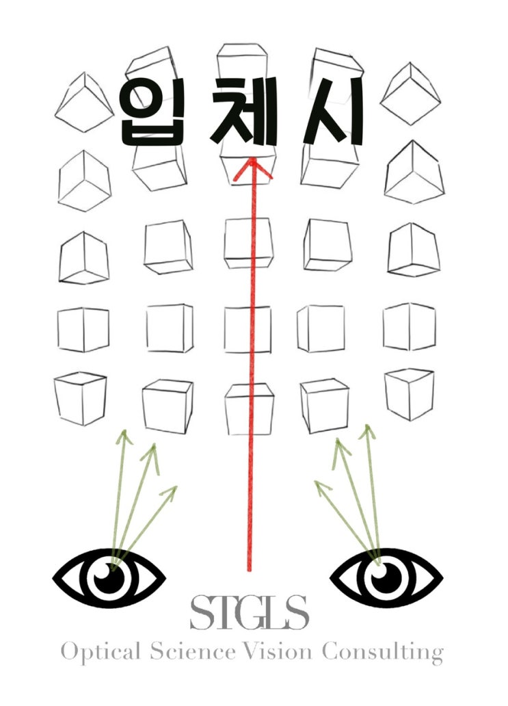 어지러운 안경이 싫어 20여 년 같은 도수를 고집하는 짝눈의 편안한 안경 교정 왜 새 안경은 어지러웠을까 네이버 블로그