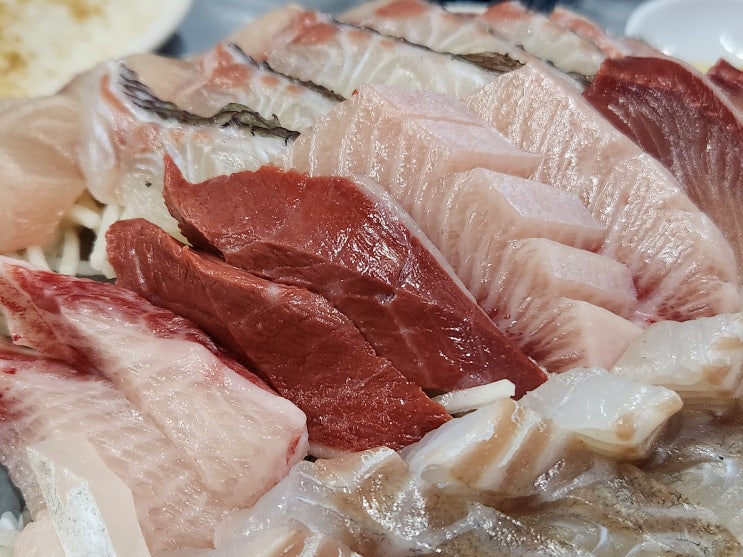 송파 가락시장 회센터 가성비 가락시장맛집 수동상회 대방어주차 네이버 블로그