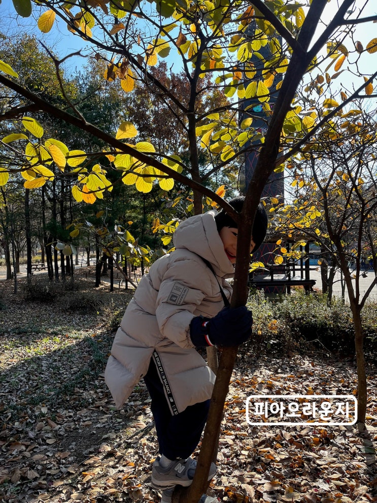 인천대공원 유아 숲체험 자연관찰 자연물놀이 자연놀이터 그 자체 네이버 블로그